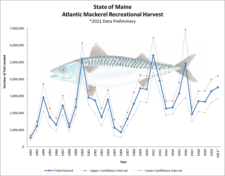 Recreational Landings of Atlantic Mackerel | Department of Marine Resources