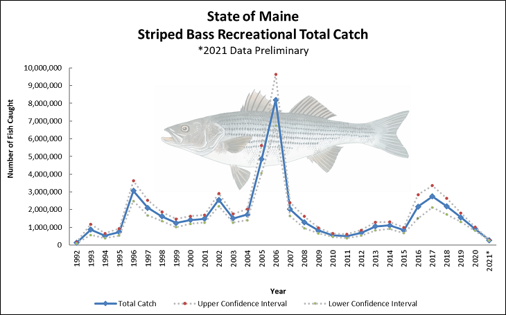 Recreational Landings of Striped Bass | Department of Marine Resources