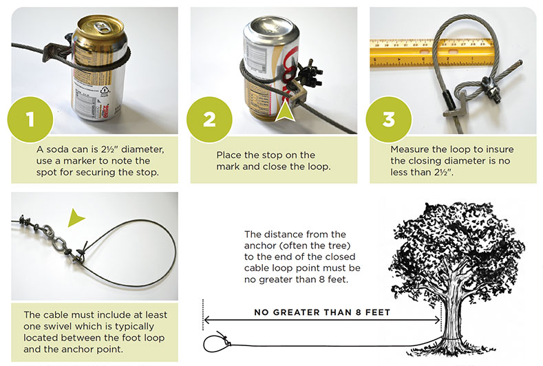 Bear Trapping: Laws & Rules: Trapping: Hunting & Trapping: Maine Dept ...